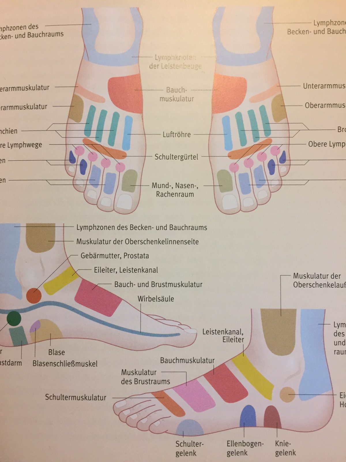 Fussreflexzonen-Massage – MyRelax.ch